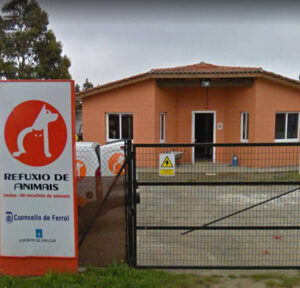 Los perros del ‘patio de los horrores’ de Narón ya están en Mougá ...